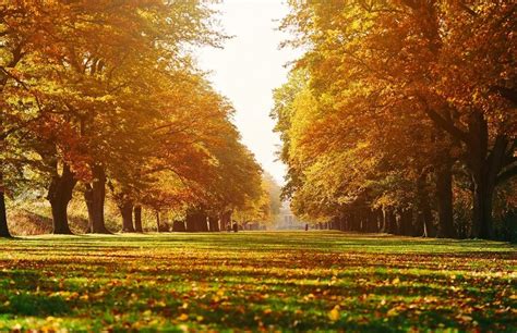 Arbtech On Linkedin What Does A Biodiversity Net Gain Consultant Do Arbtech