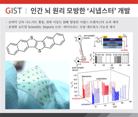 gist gwangju institute of science and technology gist를 빛내는 빛나는 연구성과