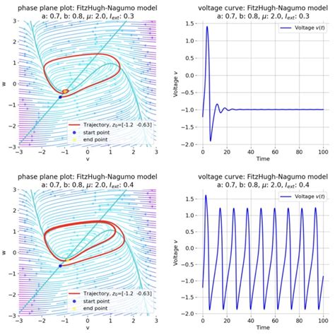 Fitzhugh Nagumo Model Fabrizio Musacchio