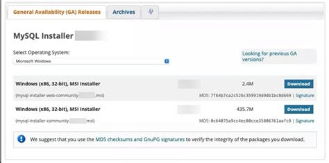 Te enseñamos cómo instalar MySQL en Windows Te enseñamos cómo instalar MySQL en Windows