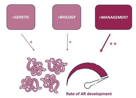 What Are The Main Causes Behind The Development Of Anthelmintic Resistance In Ruminants
