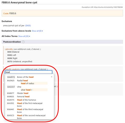 Postcoordination User Guide