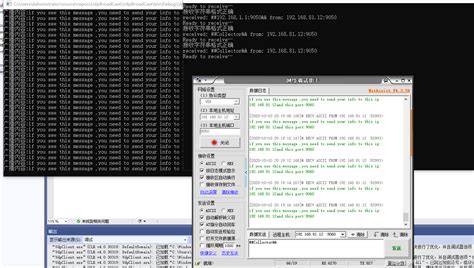 C 实现udp广播收集局域网类所有设备信息 Net