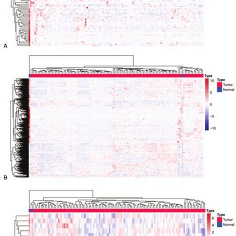 The Heatmap Represents Hierarchical Clustering For DEGs In TETs A