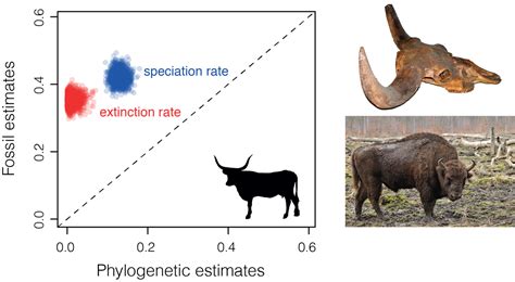 Closing The Gap Between Palaeontological And Neontological Speciation