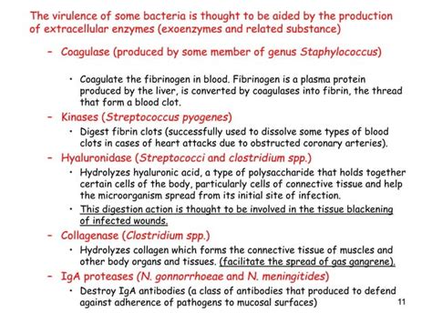 Chapter 15 Microbial Pathogenicity Ppt