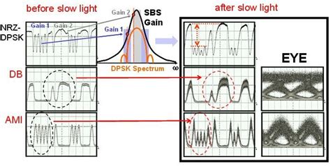 Slow Light Induced Dpsk Data Pattern Dependence 10 7 Gb S Nrz Dpsk