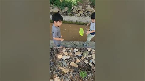 캠핑장에서 개구리 잡기 🐸 캠핑장 4편 Youtube