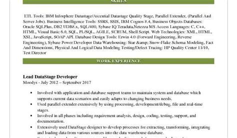 Visual Basic 6 0 Developer Resume Datastage Developer Resume Samples Qwikresume Williamson