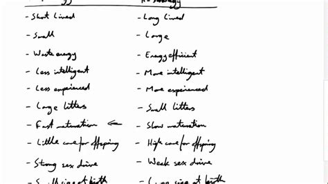 R Strategy Survival Understand The Fast Life Of R Strategists
