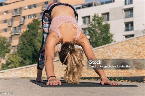 그녀의 매트에서 야외에서 요가를 수행하고 아래를 향한 개를 연습하는 운동 여성 20 24세에 대한 스톡 사진 및 기타 이미지 20 24세 가냘픈 강아지 자세 Istock