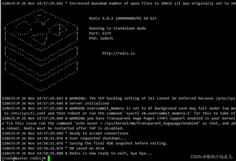 Linux上安装redis教程linux Yum 安装 Redis 40 Csdn博客