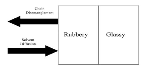 1 A Schematic Of One Dimensional Solvent Diffusion And Polymer Download Scientific Diagram
