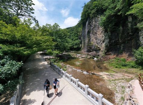 순창군 강천산군립공원 내 불법·무질서 행위 집중단속 파이낸셜뉴스