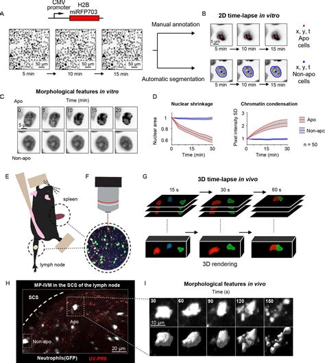 Figures And Data In Transformer Based Spatialtemporal Detection Of