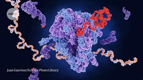 How Scientists Are Hacking The Genetic Code To Give Proteins New Powers Lifeboat News The Blog