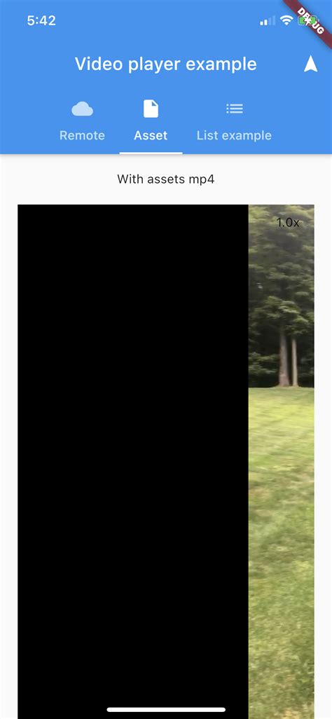 Video Player Video Not Rendered Properly Issue Flutter Flutter GitHub