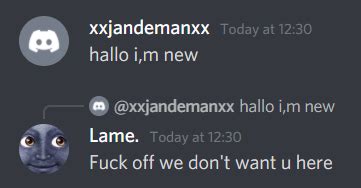 The True Rust Discord Experience Playrust
