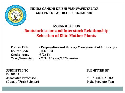Rootstock Scion And Interstock Relationship Selection Of Elite Mother