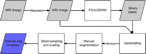 Block Diagram Representation Of The Manual Segmentation Procedure Download Scientific Diagram