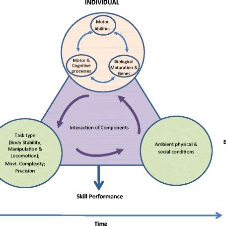 Multi Component Model Of Motor Skill Development Showing Correlates Of Download Scientific