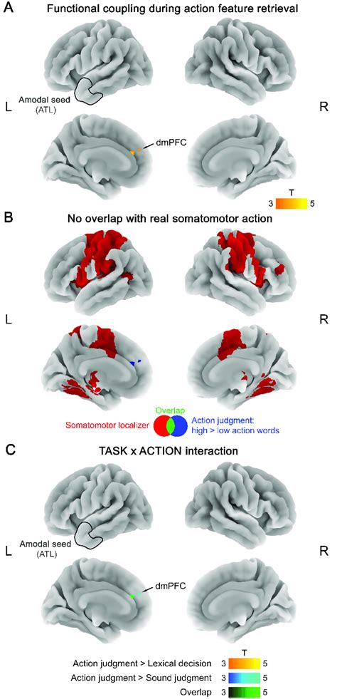 Figure S2 A Functional Coupling With The Amodal Seed Left Atl Download Scientific Diagram