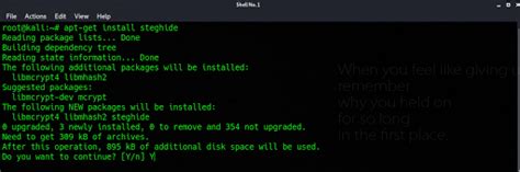 Steganography Using STEGHIDE