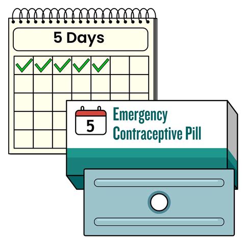 Emergency Contraception Fact Sheet Seiri
