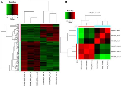 A Heatmap Of Normalized Expression Matrix Of The Six Rnaseq