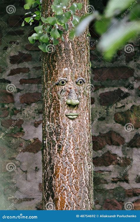 Face On A Tree Stock Photo Image Of Tree Brick Green 48754692