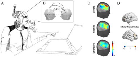 A Representative Illustration Of A Fnirs Based Hyperscanning Download Scientific Diagram
