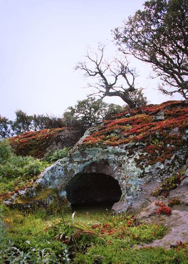 Giulia Dozza Portfolio Photovogue