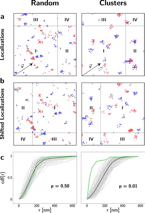 Analysis Of Localization Maps With 2 Clasta A Simulated Two Color