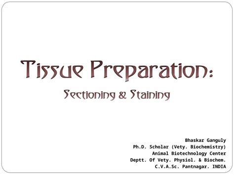 Ppt Tissue Preparation For Tem Sectioning And Staining Dokumentips