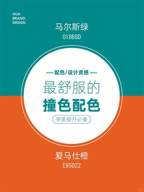 配色分享 世界上最舒服的配色，撞色双色 小红书 花瓣网