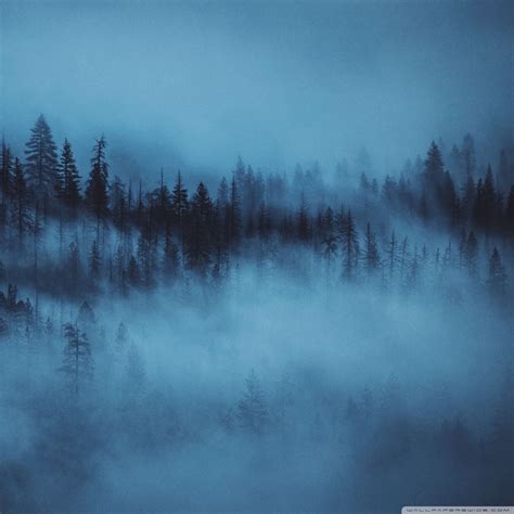 Aesthetic Dark Landscape Wallpapers Wallpaper Cave