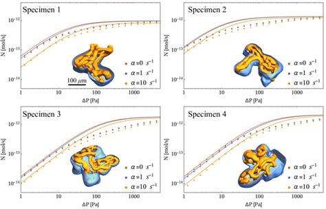 symbols show predictions of finite element simulations of the full