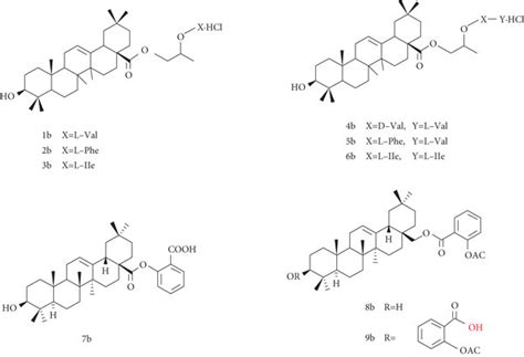 Chemical Structure Of Oleanolic Acid Derivatives 1 9b Download