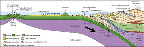 A Schematic Illustration Of The Genesis Of Mn Nodules On The Ocean Fl