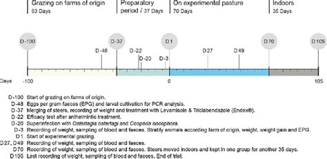 Timeline Of The Experiment Download Scientific Diagram