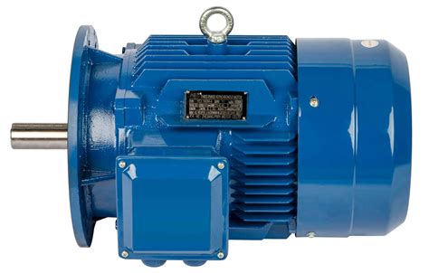 Three Phase Asynchronous Motor