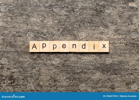 appendix word written on wood block appendix text on table concept