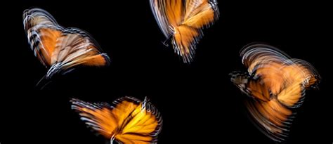 Pros And Cons Of Flutter App Development