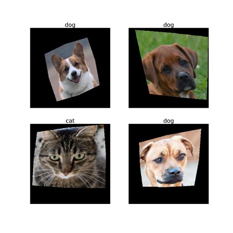 Cnn进行猫狗识别（pytorch）cnn猫狗识别源代码 Csdn博客