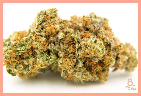 12 Different Strains Of Weed And Their Effects Diem Cannabis