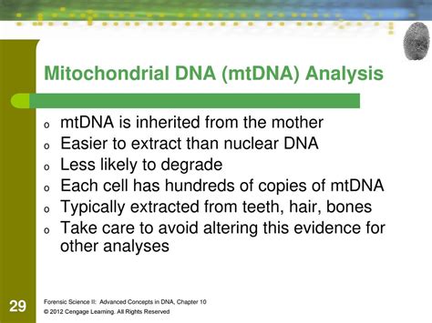 Chapter 10 Advanced Concepts In Dna Ppt Download