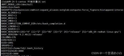 【linux 环境变量】环境变量一般是指在操作系统中用来指定操作系统运行环境的一些参数环境变量在linux系统中用于定义或引用操作系统环境的