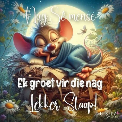 Pin By Helene On Goeie Nag Lekker Slaap Droom Cute Good Night