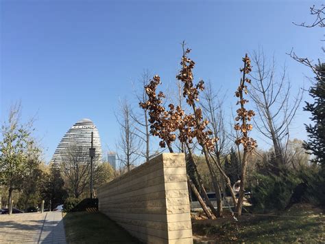 深入理解简单设计 张逸说