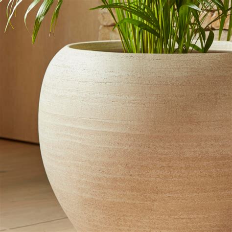 Large Indoor Plant Pots 50cm Statement Designs For Your Home